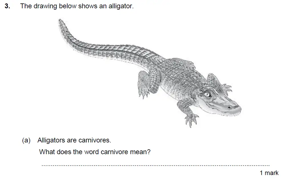 Kings College School - 13 Plus Biology Sample Paper - PiAcademy Tutors